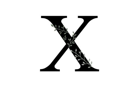 Letter X Alphabet Letter Art Printable Wall Art Art Print Etsy