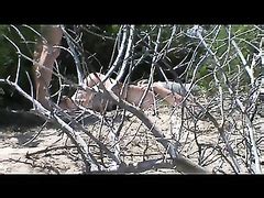 Bushes Video Compilation Voyeurstyle Com