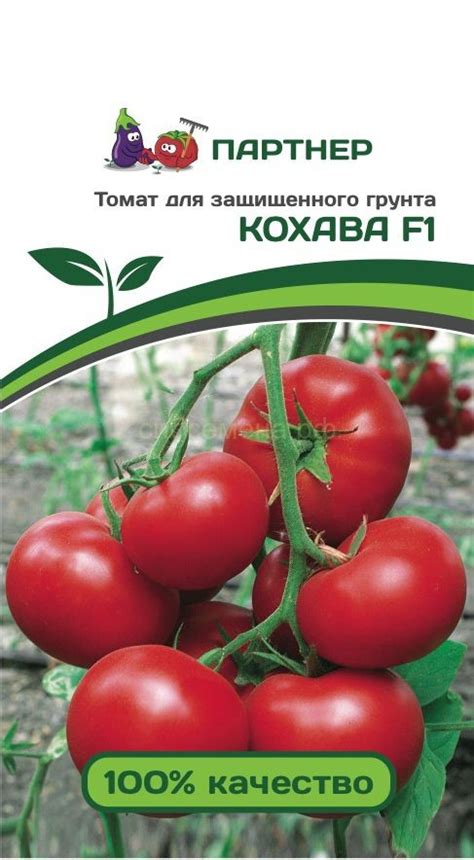 ТОМАТЫ — Семена для Сибири