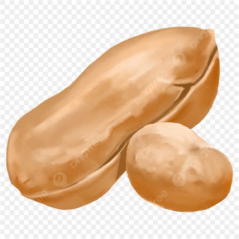 Psd Png