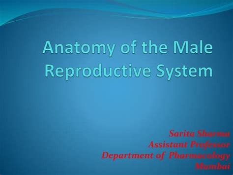 Female Reproductive System Ppt
