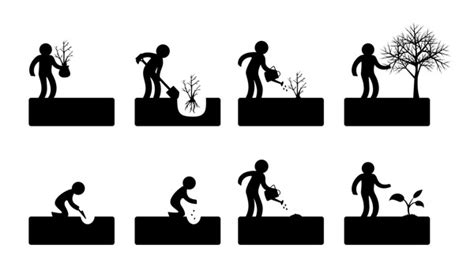 Digging Hole Tree Over 297 Royalty Free Licensable Stock Illustrations Drawings Shutterstock