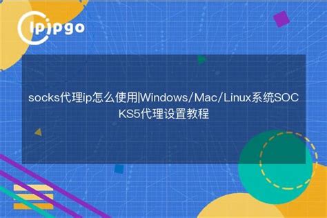 Socks Proxy Ip How To Use Windowsmaclinux System Socks5 Proxy Setup Tutorial Ipipgo