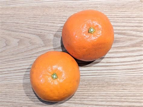 【セミノールはまずい？】特徴・取り寄せ方法・選び方・保存方法を八百屋が紹介 やさいのトリセツ