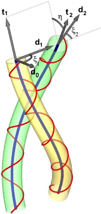 Figure 1 From Static Friction Models For A Rod Deforming On A Cylinder Semantic Scholar
