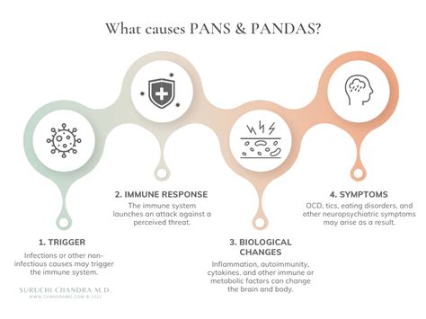 Pans And Pandas Symptoms And Diagnosis A Psychiatrist S Guide Suruchi