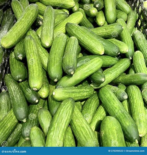 Japanese Cucumbers Stock Image Image Of Thin Japanese 270394523