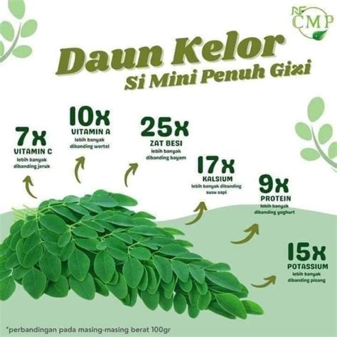 Jual Nf Cmp Hwi Minuman Clorofil Herbal Ori Shopee Indonesia