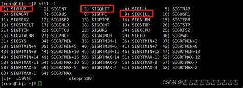 Linux进程和计划任务管理linux有和任务计划程序一样的软件吗 Csdn博客