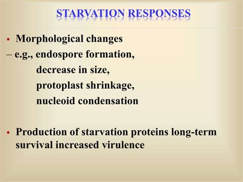 Bacterial Growth Curve Ppt Biological Sciences Science
