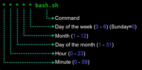 automating tasks using bash scripts and cron jobs with aws