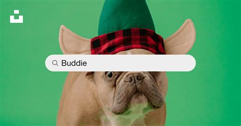 Images De Buddie Téléchargez Des Images Gratuites Sur Unsplash