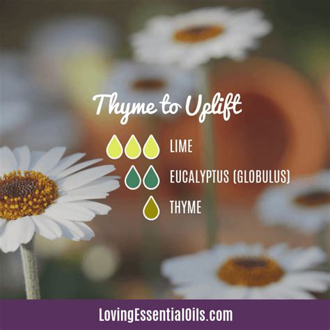 Thyme Diffuser Blends Cleansing Essential Oil Recipes