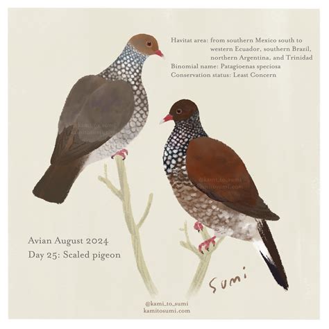 Scaled Pigeon Danbooru
