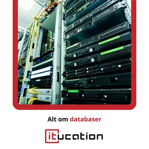 Hvad er en database og hvilke typer databaser findes der Få svar her