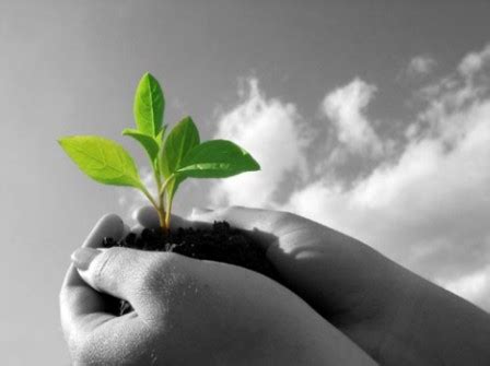 Carta Para Quien Quiera Ser Emprendedor Ecoworldreactor