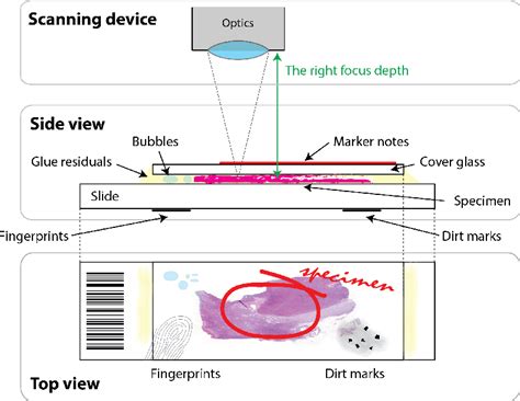 Figure 1 From Artifact Augmentation For Enhanced Tissue Detection In Microscope Scanner Systems