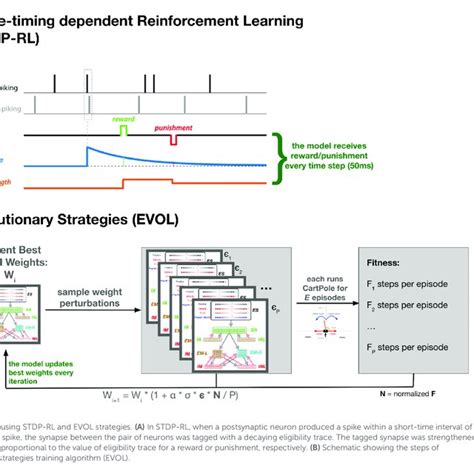 Performance Of The Snn Models When Training With Stdp Rl A B