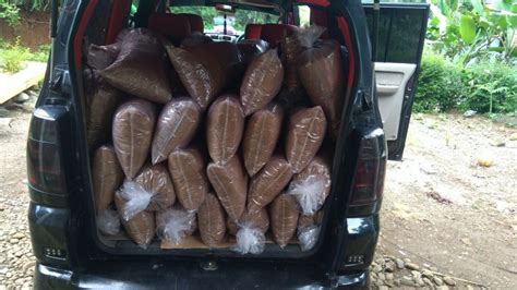 Ahmad Maolana Coconut Sugar On Linkedin Pangiriman