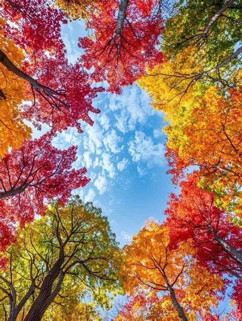 Есенни пейзажи живописни и изумително красиви