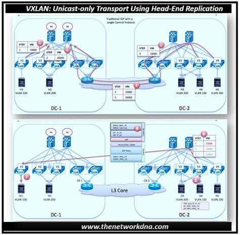 Vxlan Unicast Only Transport Using Head End Replication The Network Dna