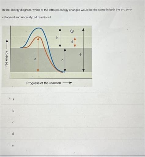 Solved In The Energy Diagram Which Of The Lettered Energy
