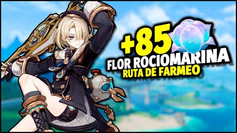 Genshin Impact Flor Rociomarina Ruta De Farmeo Material De Ascensión