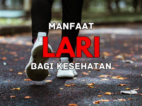 Pengertian Kalsium Dan Manfaatnya Bagi Kesehatan Tubuh Ilmu
