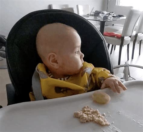 Tu bebé no toca la comida Qué hacer cuando mi bebé no come