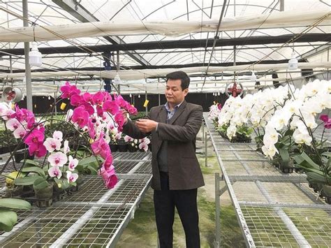 Nét mới trong ứng dụng chuyển giao khoa học công nghệ vào sản xuất nông nghiệp Báo Quảng Trị