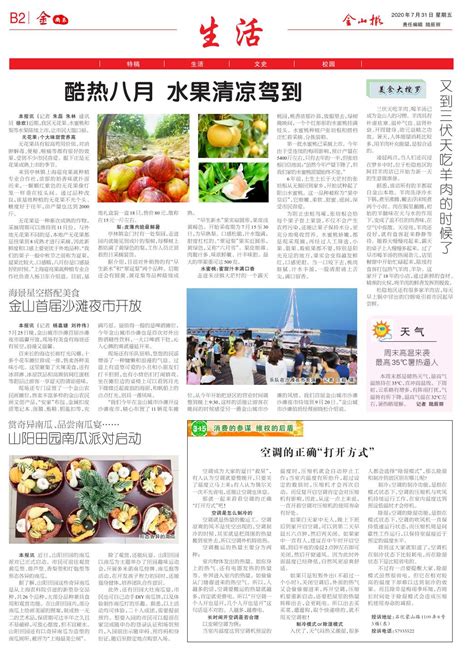 金山首届沙滩夜市开放 金山报