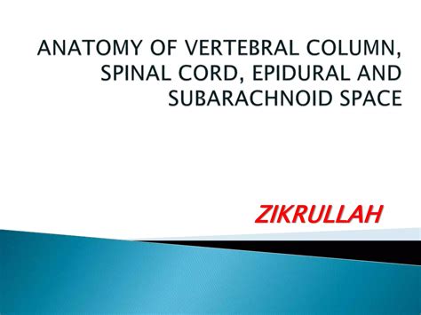 Anatomy Of Spine For Spinal Anaesthesia Pptx
