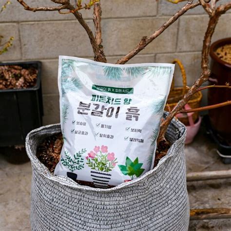 프리미엄 피톤치드 분갈이흙 10l 하우숩