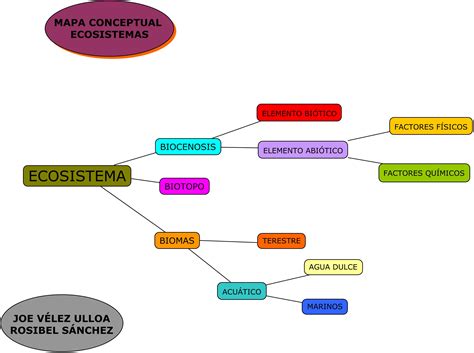 Mapa Conceptual De Los Tipos De Ecosistemas Demi Mapa Kulturaupice