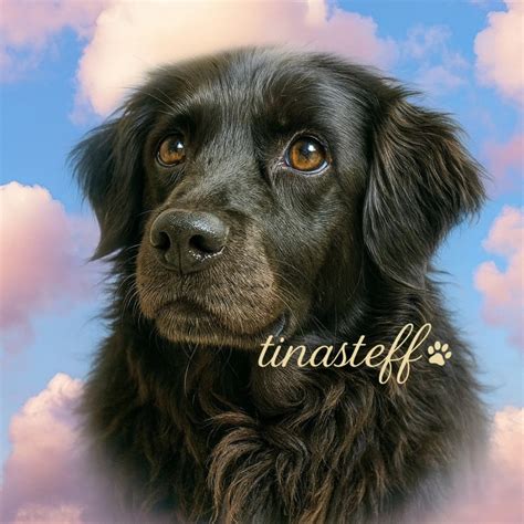 Erandi Ramirez Gonzalez