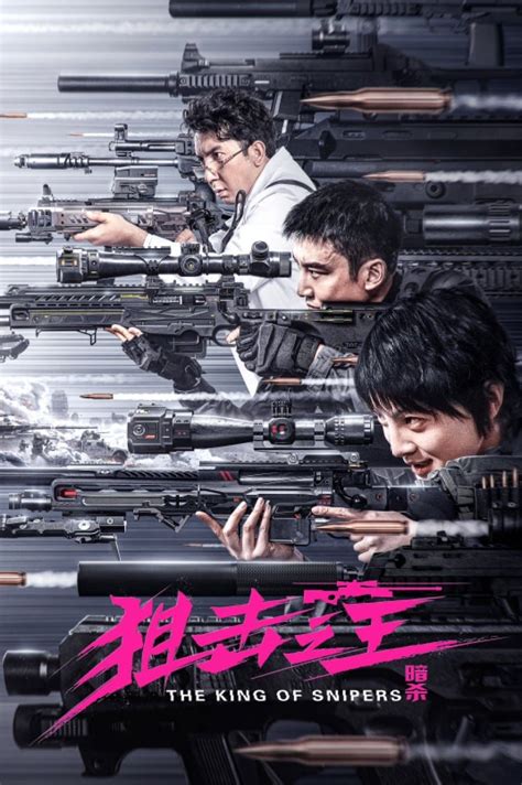 The King Of Sniper Assassination Mandarin Movie Streaming Online Watch