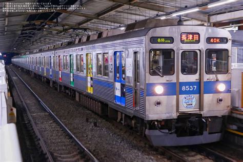 2nd Train 【東急】最後の8500系となっていた8637編成廃車回送の写真 Topicphotoid68304