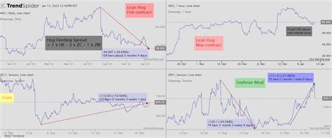 Hog Market 2023 Outlook Complete Swine News Markets