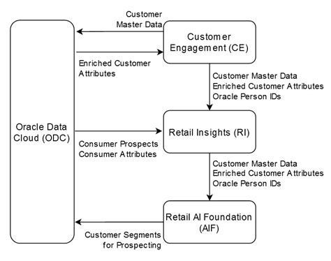 Introduction To Oracle Retail Insights