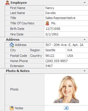 Layouts WinForms Controls DevExpress Documentation