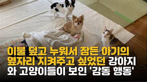 1주일 동안 주차장에 차 사용하지 않고 그대로 놔두면 볼 수 있는 흔한 모습 애니멀 플래닛