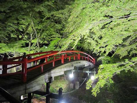 河鹿橋新緑ライトアップ2021 公式奥伊香保温泉 旅邸 諧暢楼
