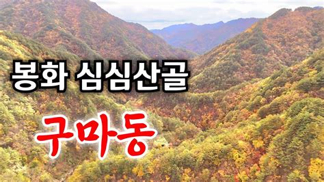 봉화 에서도 둘째 가라면 서러운 심심산골 오지마을 이곳에 사람들은 어떻게 살아가는지 Youtube