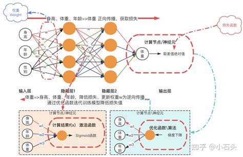 通过案例—身高预测体重以线性回归为基础从理论到实践通俗理解神经网络 知乎