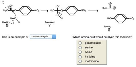 Solved Please Help Identify The Kind Of Chemical