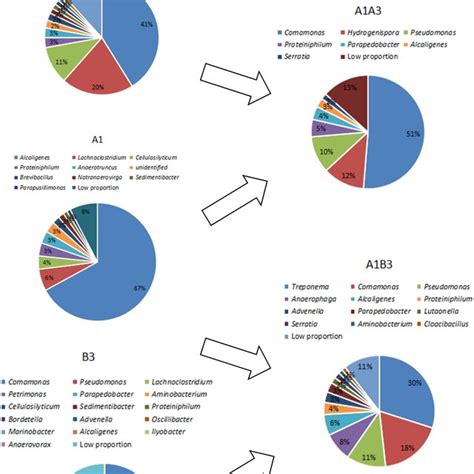 Bacteria Community Structure Of Each Group Genus Level “g