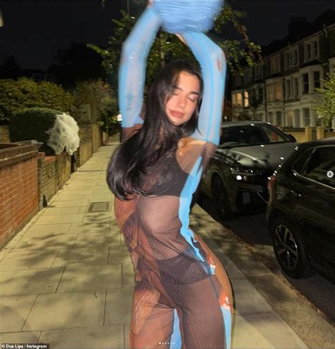 Dua Lipas Grand Plans To Build Basement Swimming Pool At £675m London