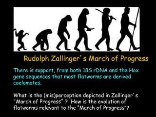Evolution Ppt