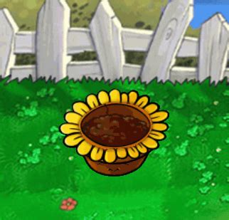 Sun Flower Pot The Plants Vs Zombies Wiki The Free Plants Vs