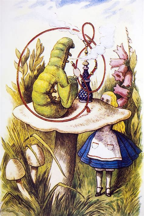 Things You Didn T Know About Alice In Wonderland Alice In Hot Sex Picture